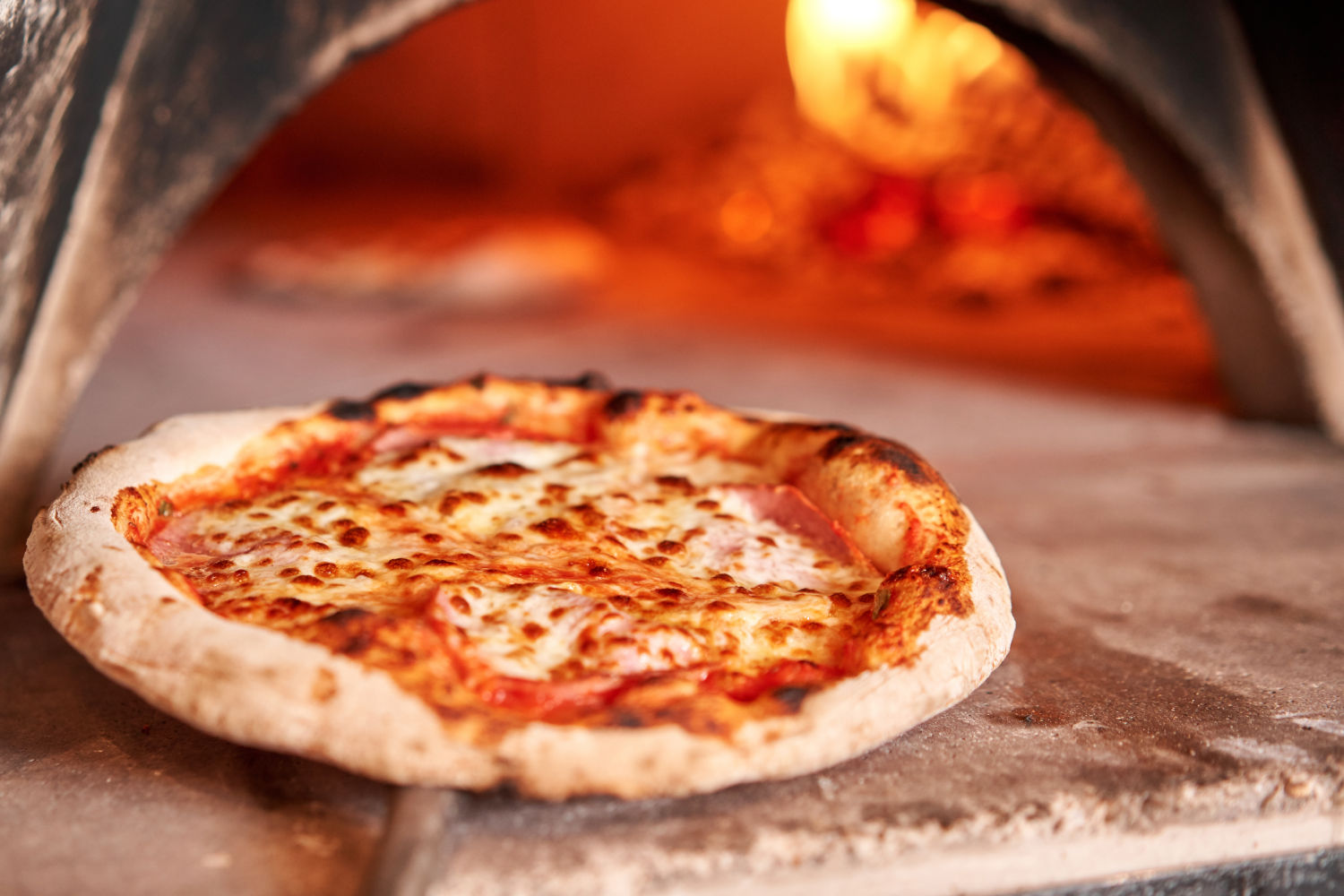 Sourdough Neapolitan Pizza Dough Recipe & Ingredients | PizzaLogic